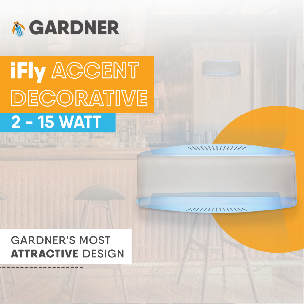 Restaurants » Gardner Fly Lights