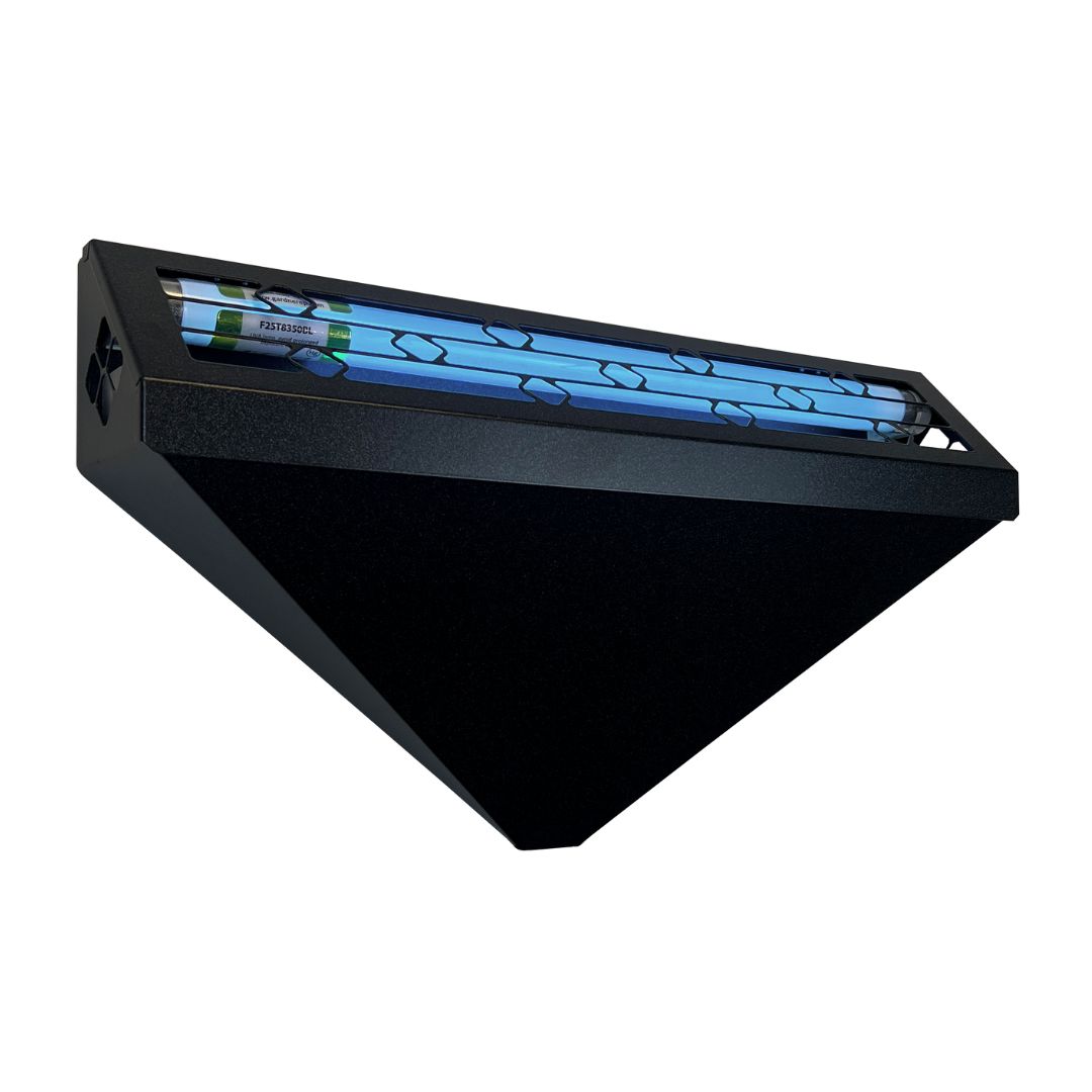 Decorative Archives » Gardner Fly Lights